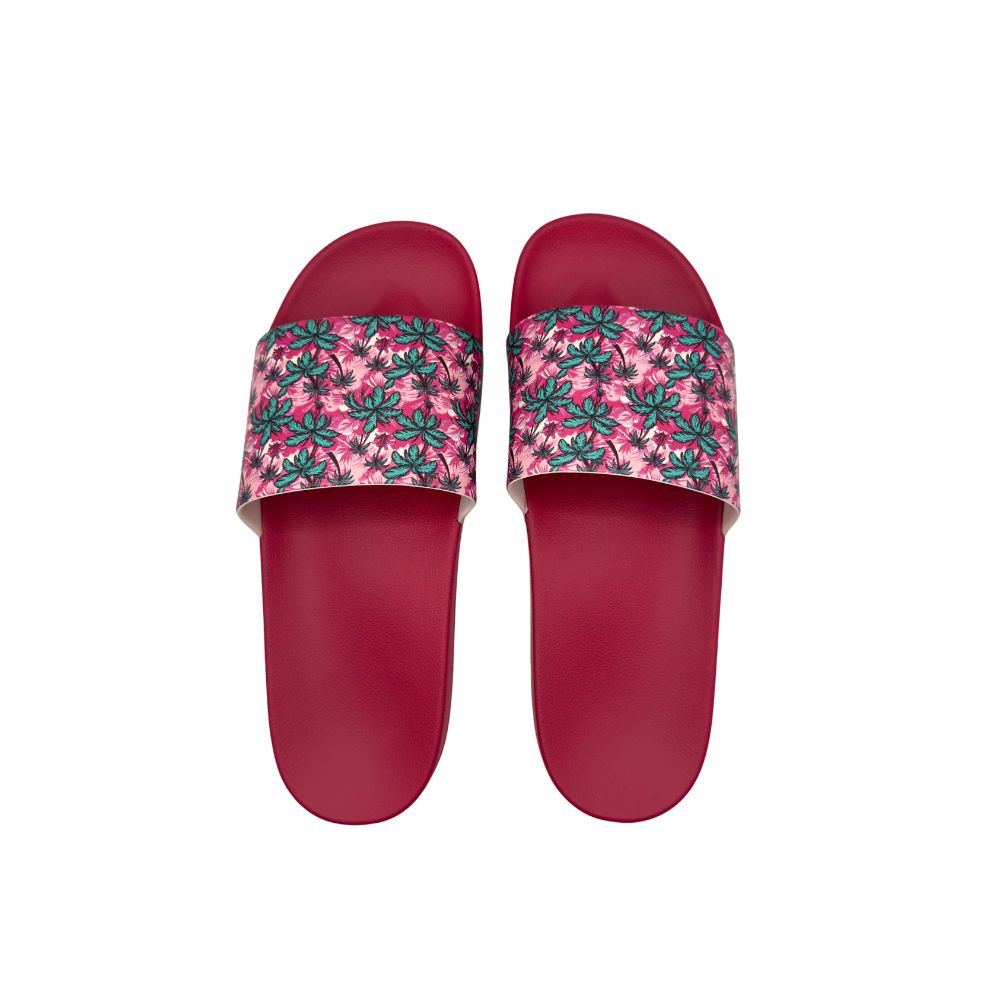 Miami Slides – Slide Club